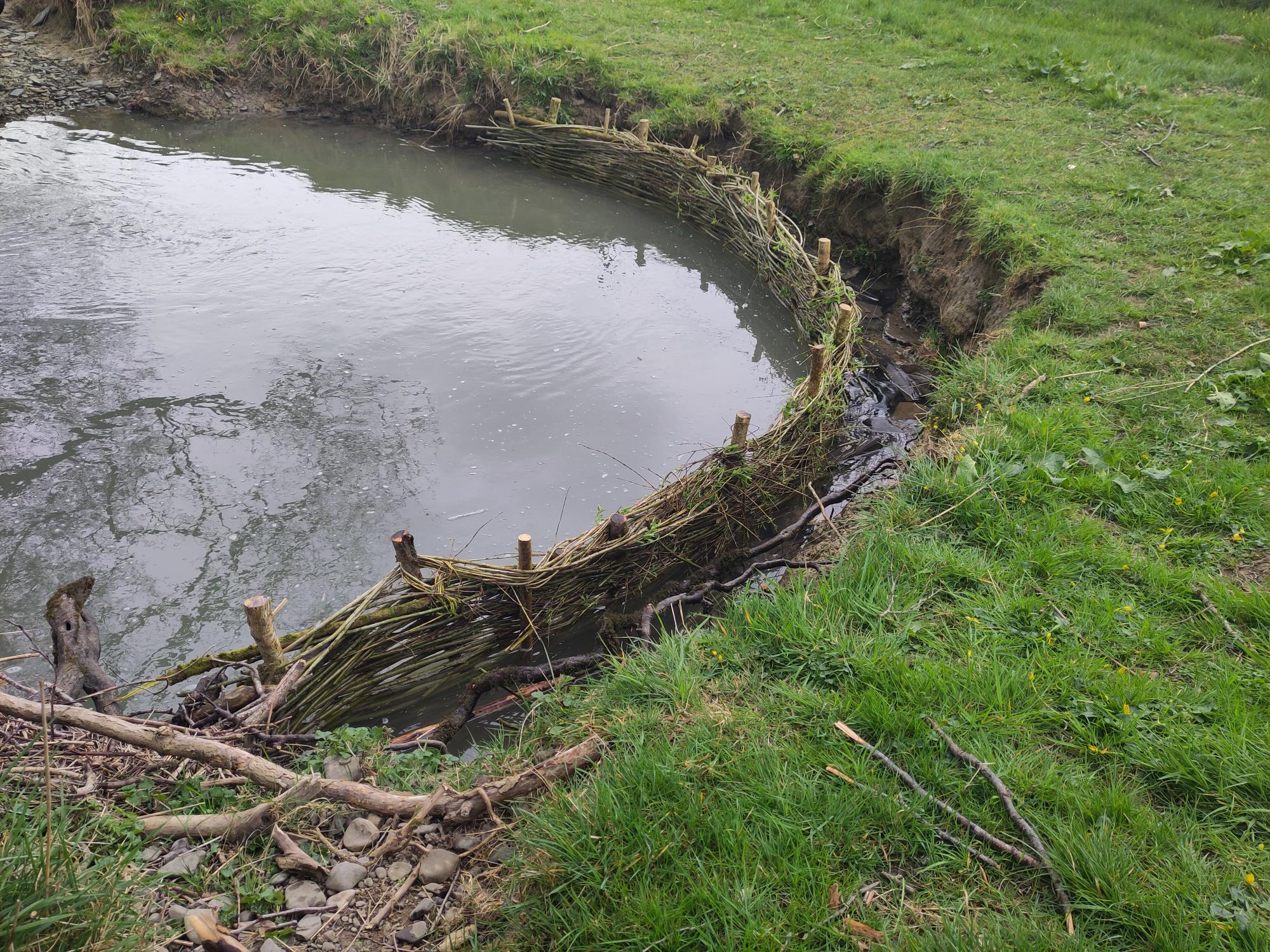 Willow Spiling – Greenstreete