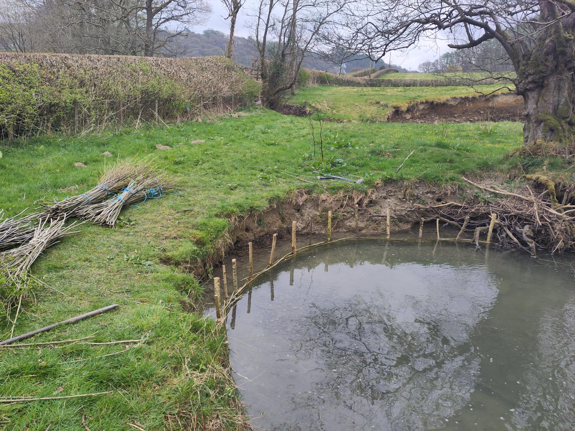 Willow Spiling – Greenstreete